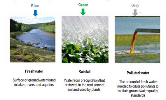 Water Footprint - Siddhi Green Excellence Private Limited